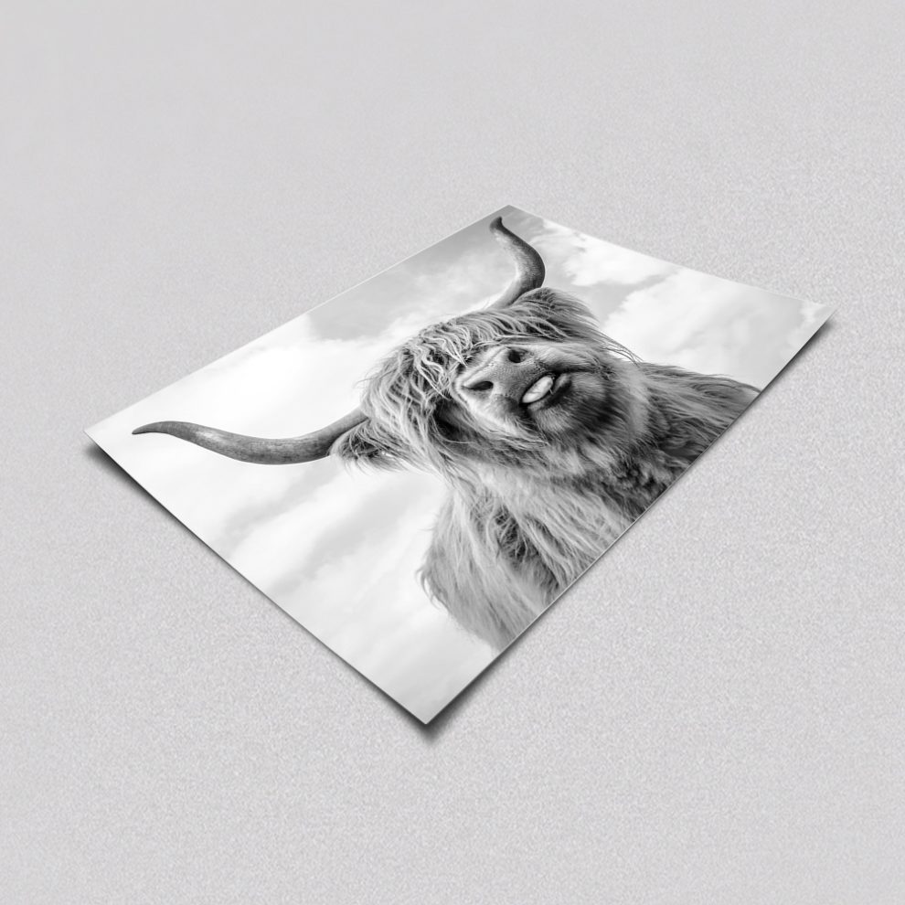 Highland Cow Nordic Wall Art Canvas Animal Print Poster For Home Decor ...