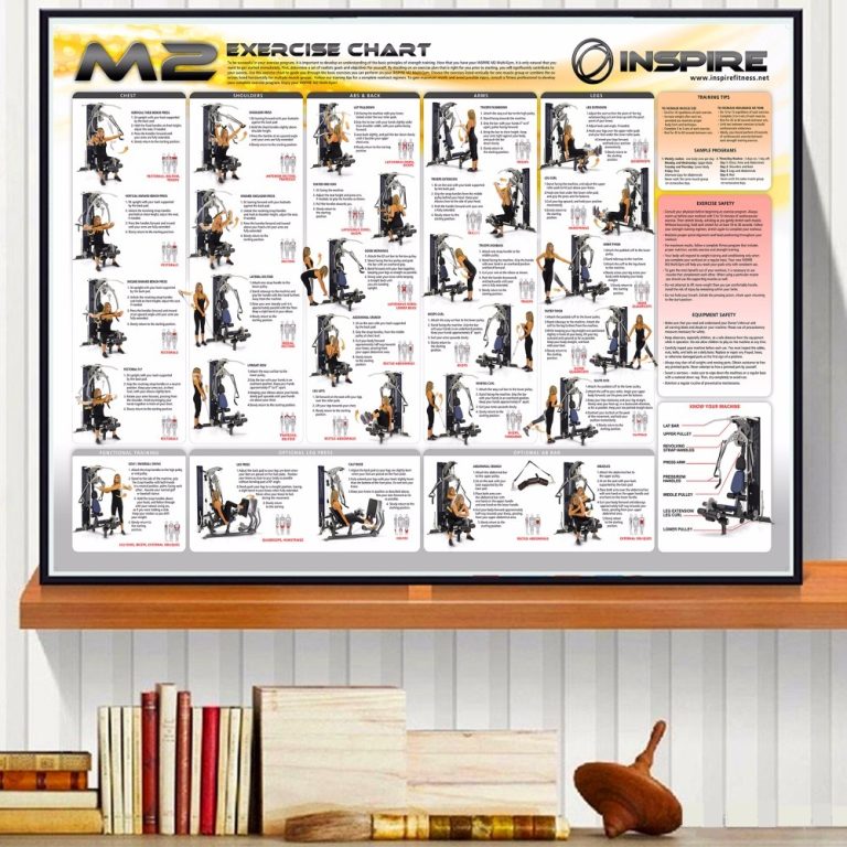 Bodybuilding Exercise Chart Canvas Art Print Poster For Home Gym ...