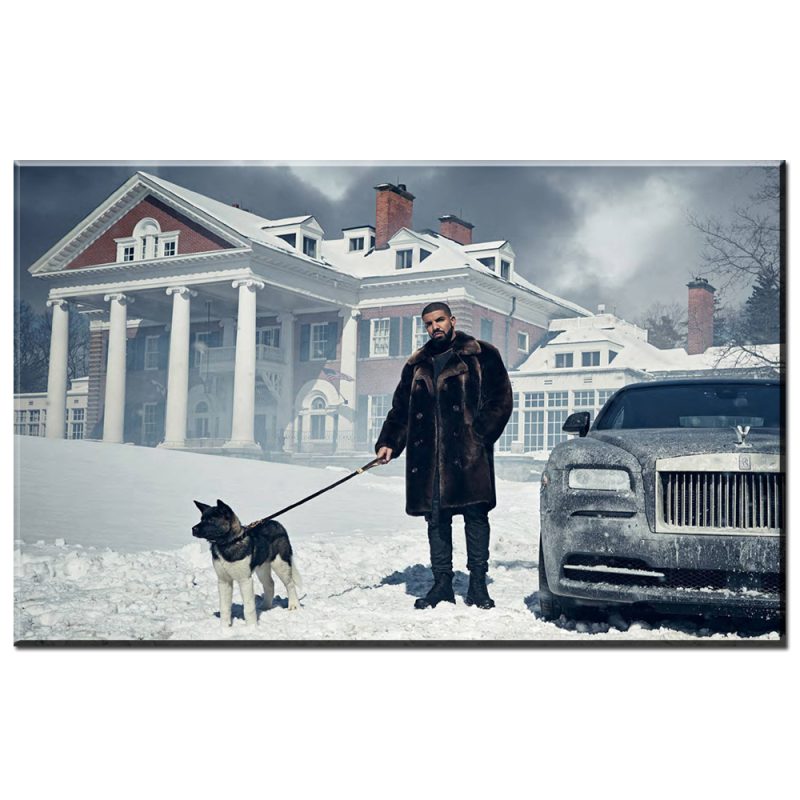 Drake Hip Hop Star Art Canvas Snow Dog Poster Home Wall Painting ...