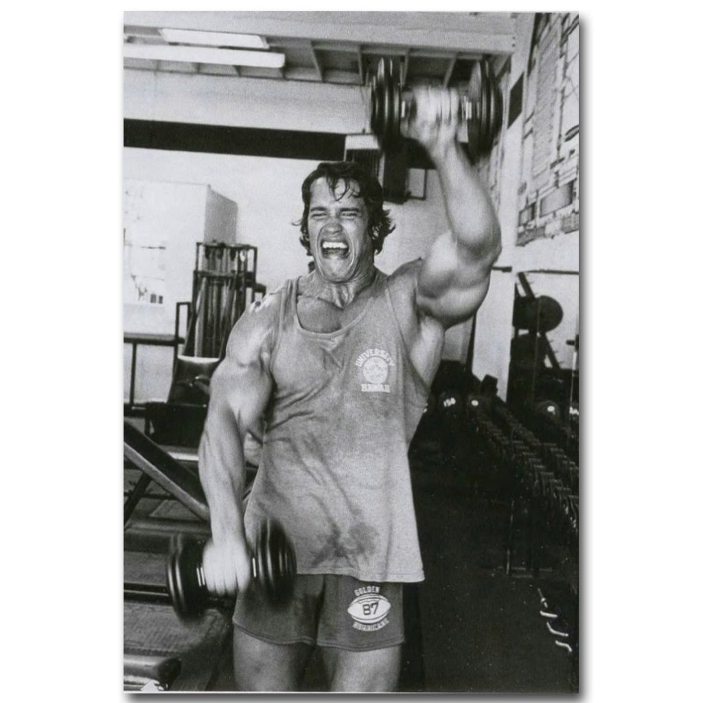 Arnold Schwarzenegger Bodybuilding Silk Poster Fitness Motivation Wall ...