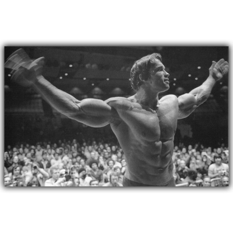 Motivational Boxing Art Silk Poster For Bodybuilding Gyms Various Sizes ...