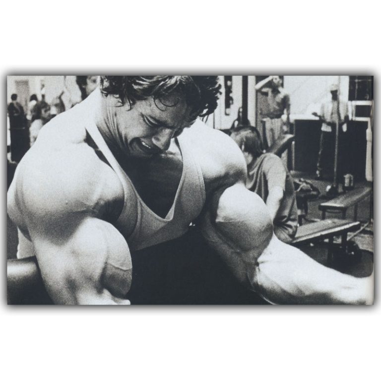 Arnold Schwarzenegger Motivational Bodybuilding Silk Art Poster For ...