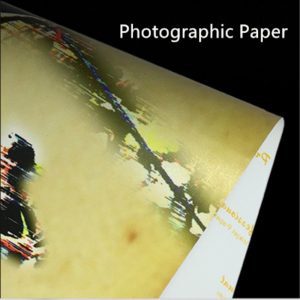 Dwayne Johnson The Rock Bodybuilding Canvas Wall Decal Poster 0396 ...