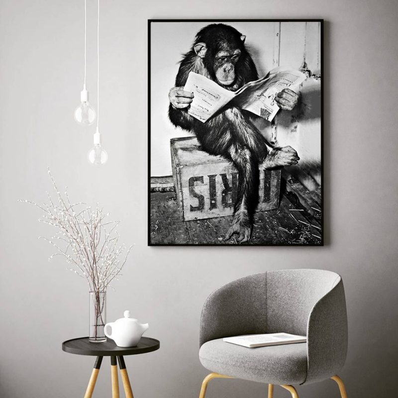 Monkey Reading Newspaper Black White Bathroom Wall Art Print ...
