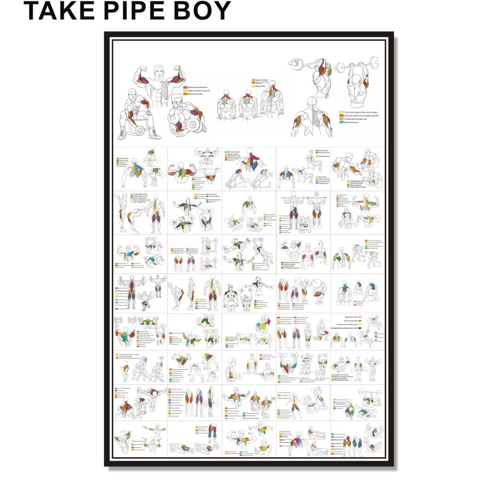 Home Gym Dumbbell Workout Poster Muscle Building Weight Lifting Guide ...